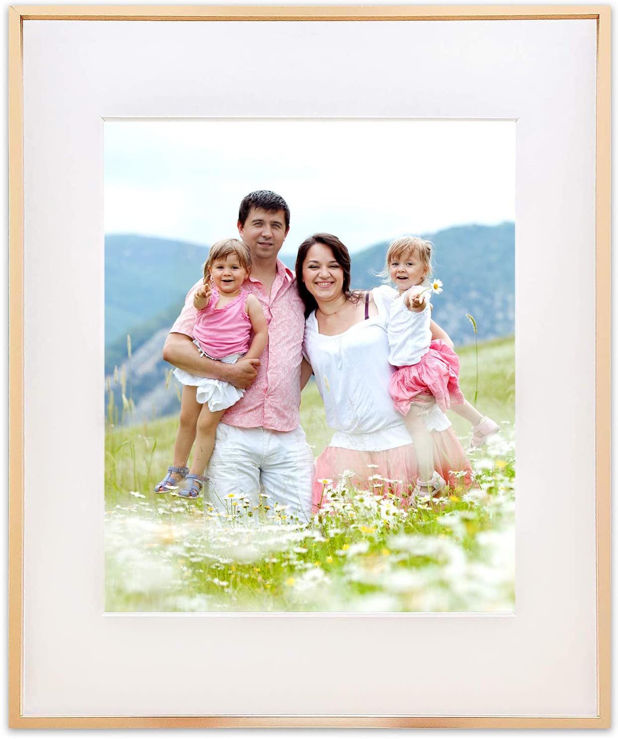 16" x 20" Gold Aluminum Picture Frame with Tempered Glass, 11" x 14" M ...